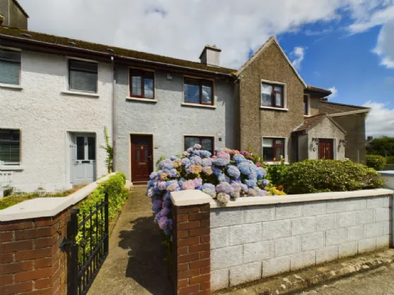 John Rohan | Sherry FitzGerald